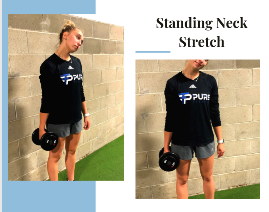 8 Stretches to Release Tension From Your Desk Job - Pure Fitness WI