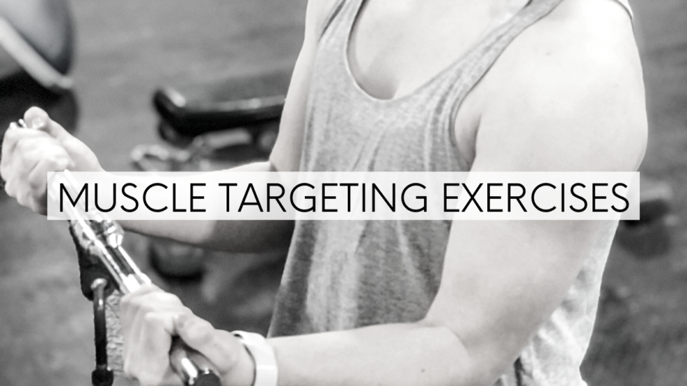DISCOVER THE BEST MUSCLE TARGETING EXERCISES - Pure Fitness WI