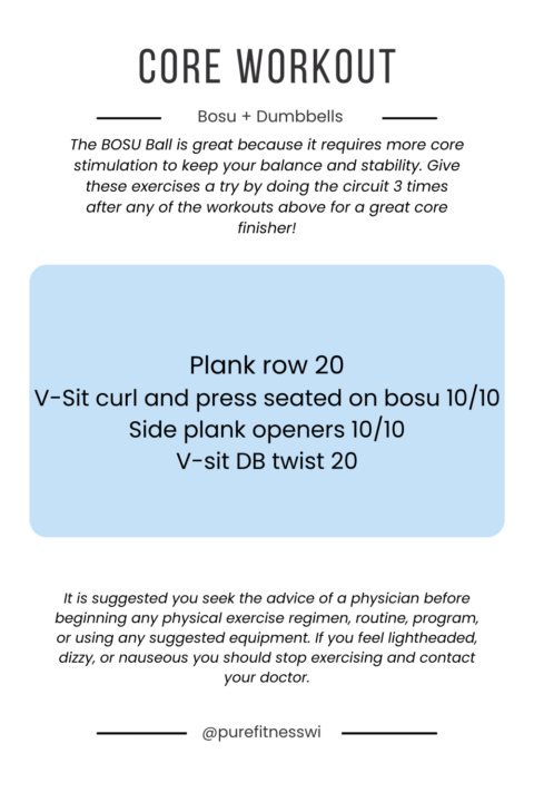 How To Use a BOSU and Swiss Ball - Pure Fitness WI